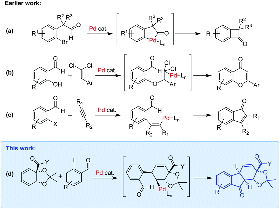 Palladium-catalyzed stereoselective domino arylation–acylation: an ...