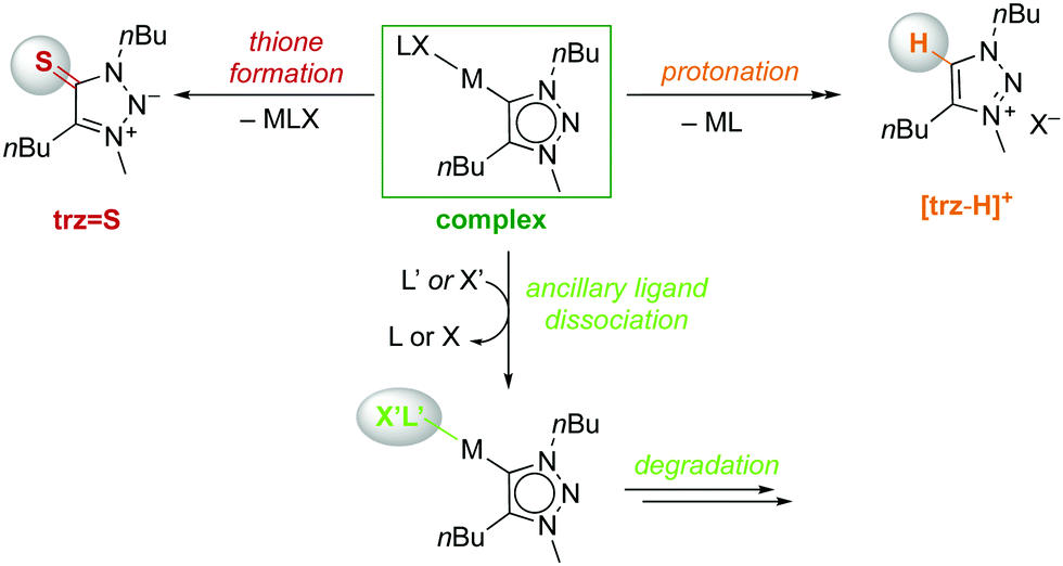 Exploring the stability of the NHC–metal bond using thiones as probes ...