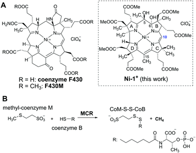 Reversible metal-centered reduction empowers a Ni-Corrin to mimic F430 ...