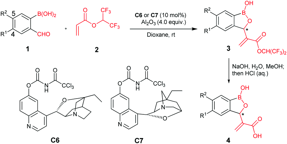 Design and enantioselective synthesis of 3-(α-acrylic acid ...