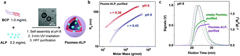 Detection of subtle extracellular glucose changes by artificial ...
