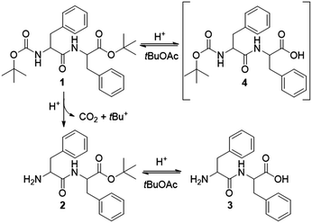 Triggering a transient organo-gelation system in a chemically active ...