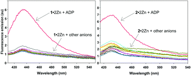 Azulene-based fluorescent chemosensor for adenosine diphosphate ...