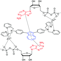Azulene-based fluorescent chemosensor for adenosine diphosphate ...