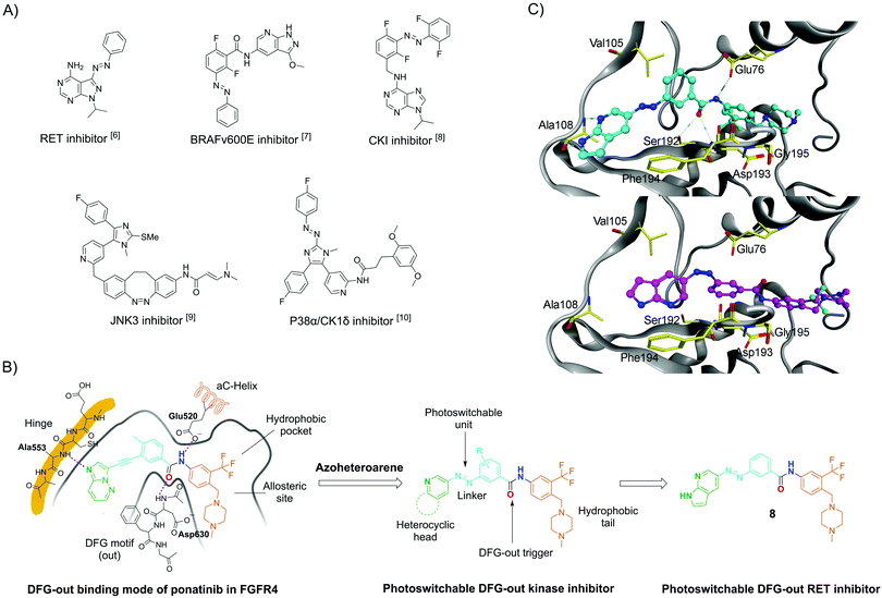 Design and development of a photoswitchable DFG-out kinase inhibitor ...