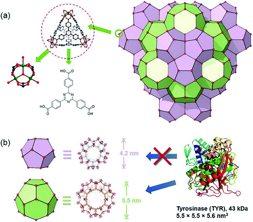 Metal–organic frameworks (MOFs) as host materials for the enhanced ...