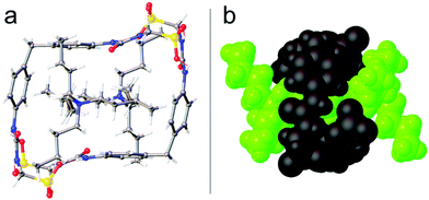Di-anionic self-associating supramolecular amphiphiles (SSAs) as ...