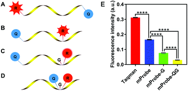 A self-quenching fluorescence probe-mediated exponential isothermal ...