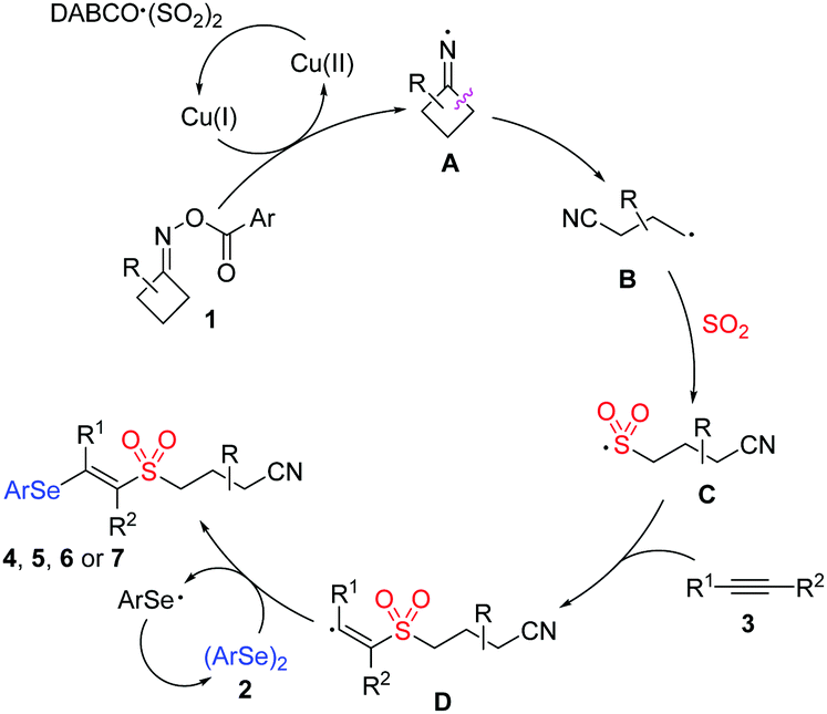 Synthesis of β-cyanoalkylsulfonylated vinyl selenides through a four ...