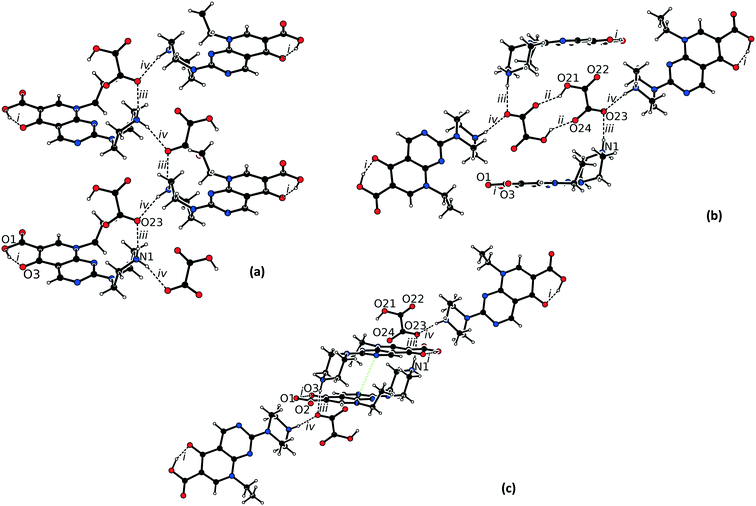 From pipemidic acid molecular salts to metal complexes and BioMOFs ...