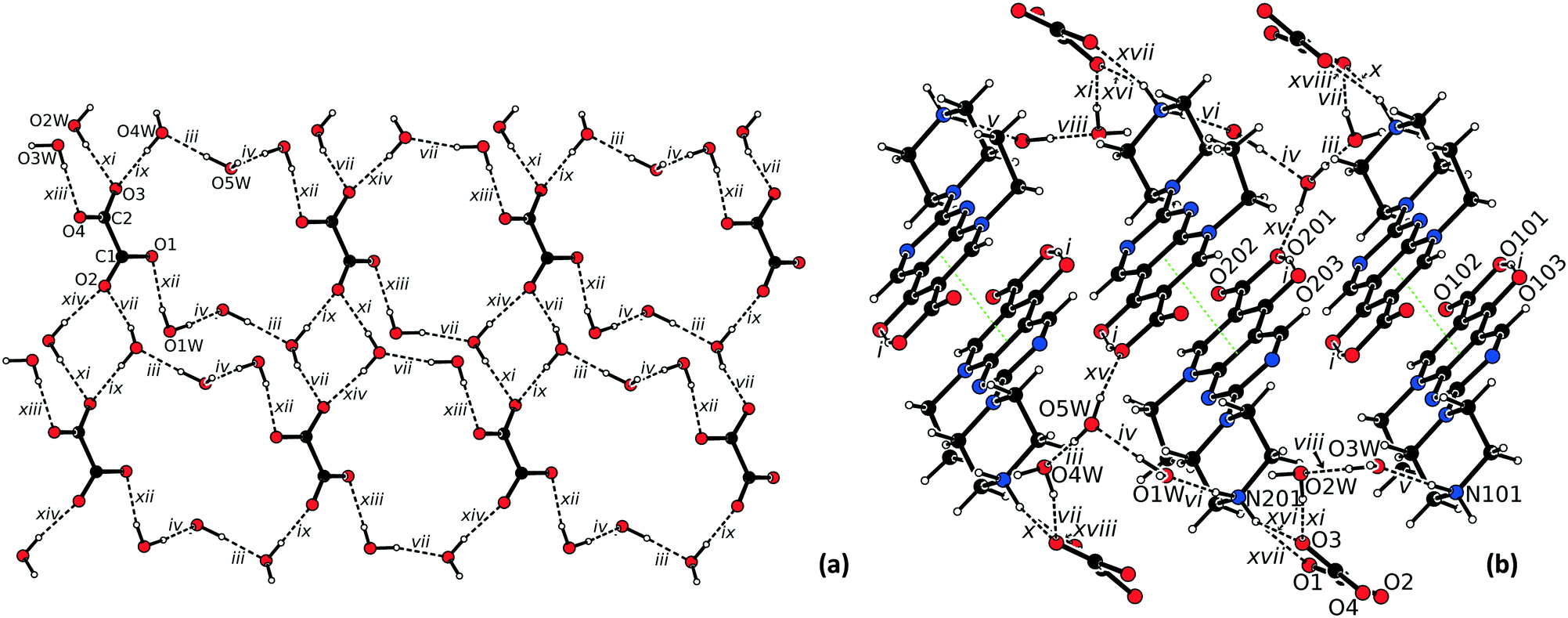 From pipemidic acid molecular salts to metal complexes and BioMOFs ...