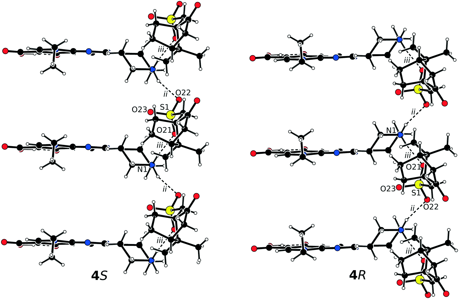 From pipemidic acid molecular salts to metal complexes and BioMOFs ...