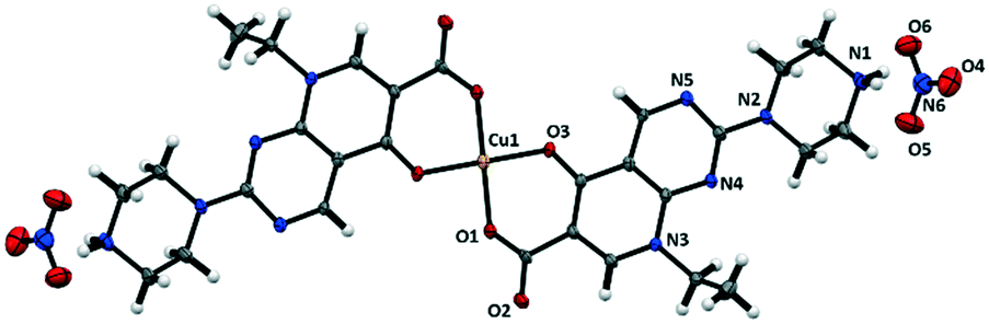From pipemidic acid molecular salts to metal complexes and BioMOFs ...