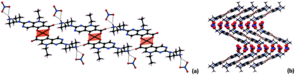 From pipemidic acid molecular salts to metal complexes and BioMOFs ...