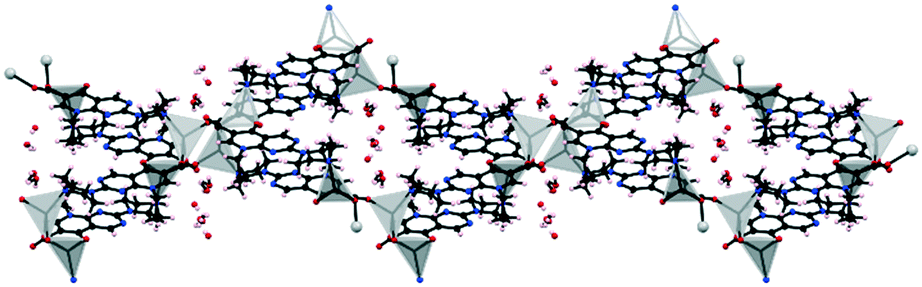 From pipemidic acid molecular salts to metal complexes and BioMOFs ...