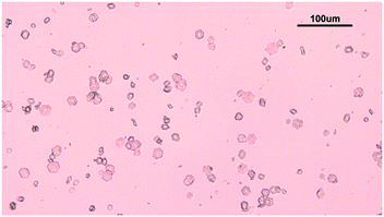 Enhancing the crystallisation of insulin using amino acids as soft ...