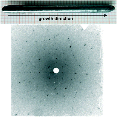 Crystal growth and thermodynamic investigation of Bi 2 M 2+ O 4 (M = Pd ...