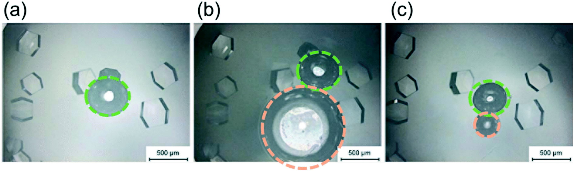 Protein crystallisation with air bubble templates: case of gas–liquid ...