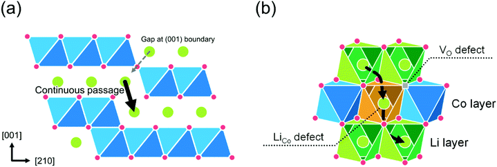 Tracer diffusion coefficients of Li + ions in c -axis oriented Li x CoO ...