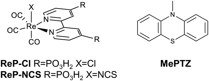 Flexible to rigid: IR spectroscopic investigation of a rhenium ...