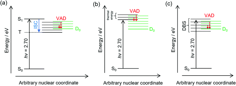 Autodetachment dynamics of 2-naphthoxide and implications for ...