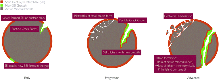 Lithium ion battery degradation: what you need to know - Physical ...