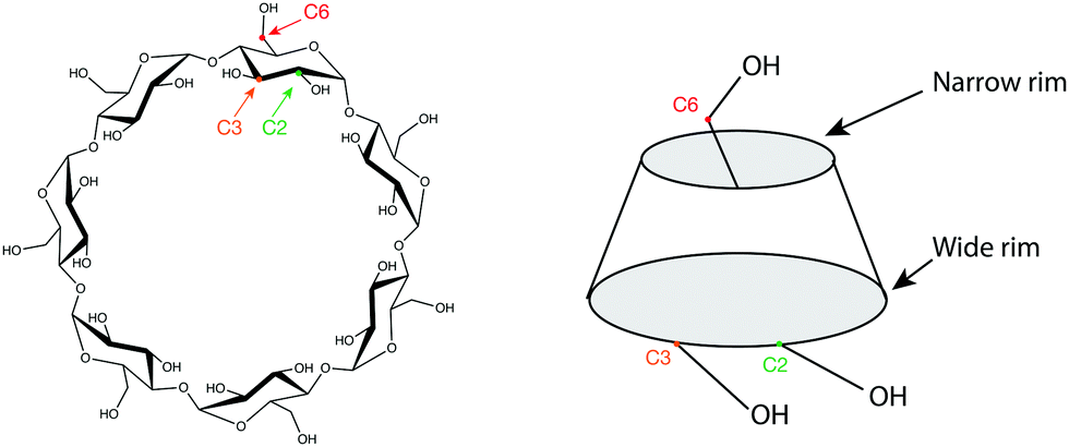 Unravelling the structures of sodiated β-cyclodextrin and its fragments ...