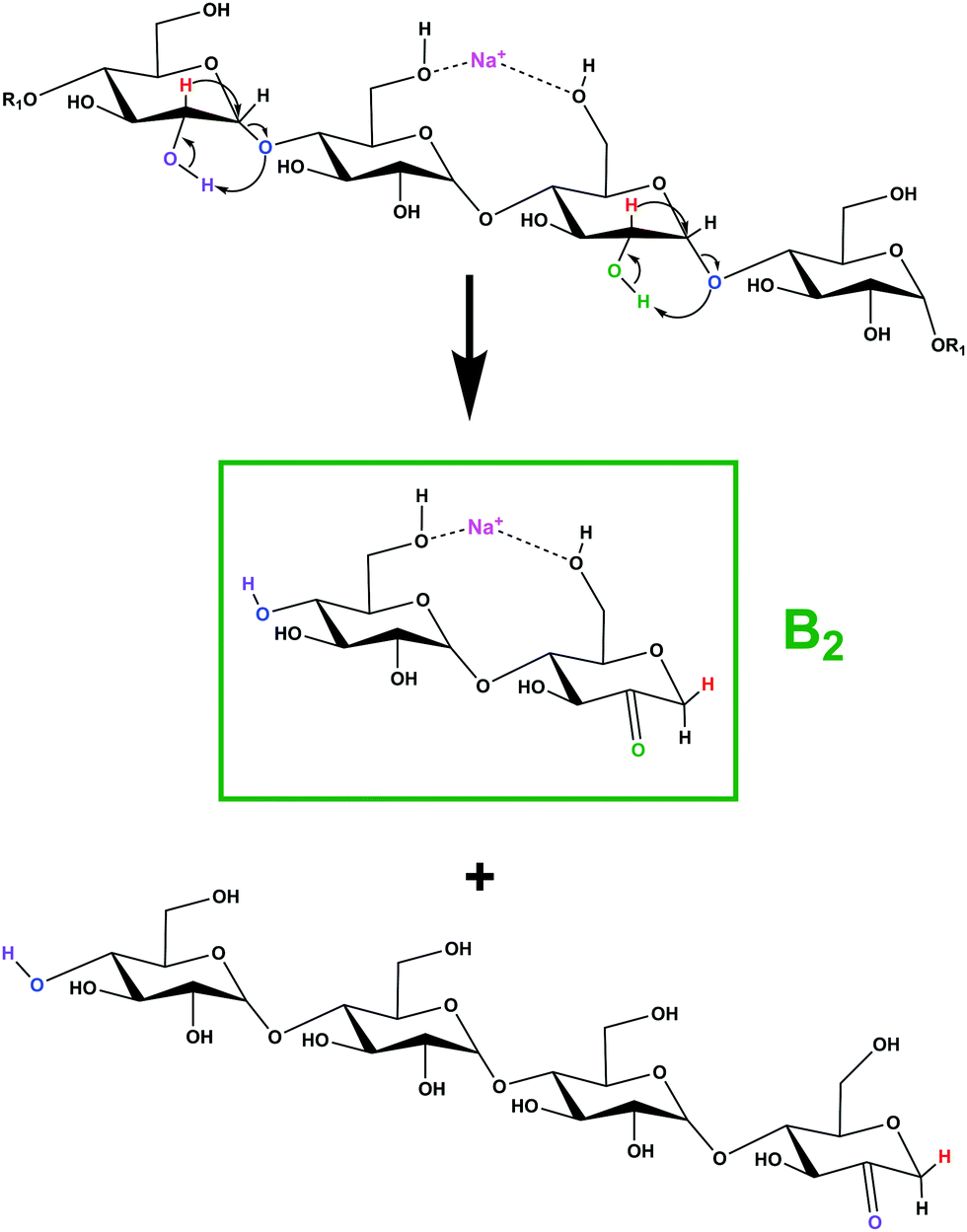Unravelling the structures of sodiated β-cyclodextrin and its fragments ...
