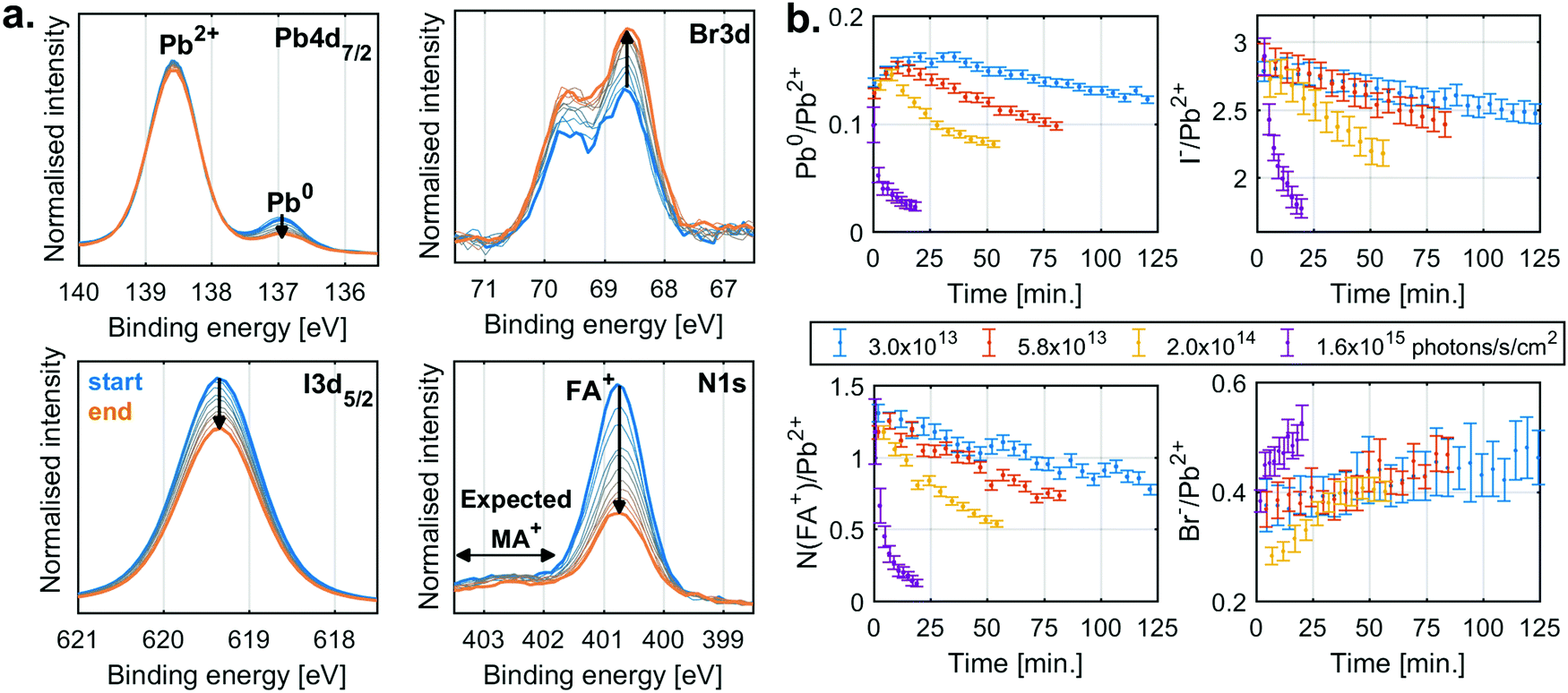 X-ray stability and degradation mechanism of lead halide perovskites ...