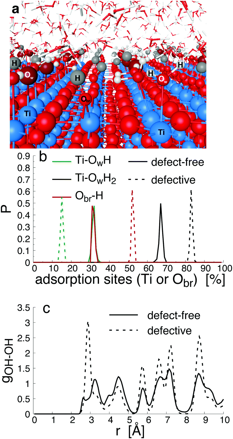 How the hydroxylation state of the (110)-rutile TiO 2 surface governs ...