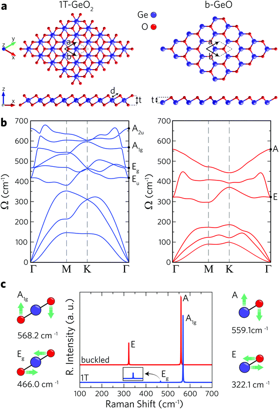Vibrational and optical identification of GeO 2 and GeO single layers ...
