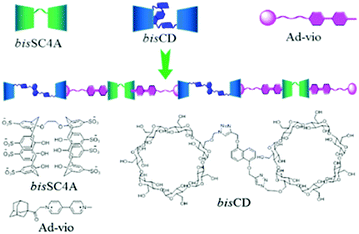 An overview from simple host–guest systems to progressively complex ...