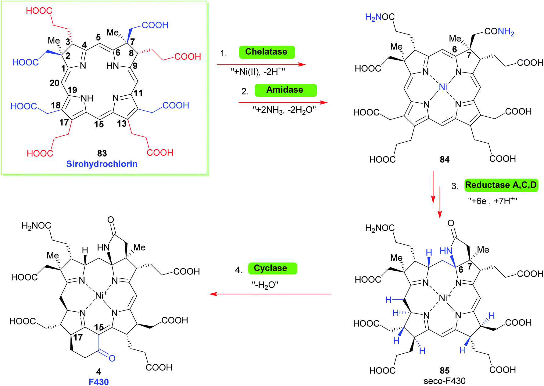 Classic highlights in porphyrin and porphyrinoid total synthesis and ...