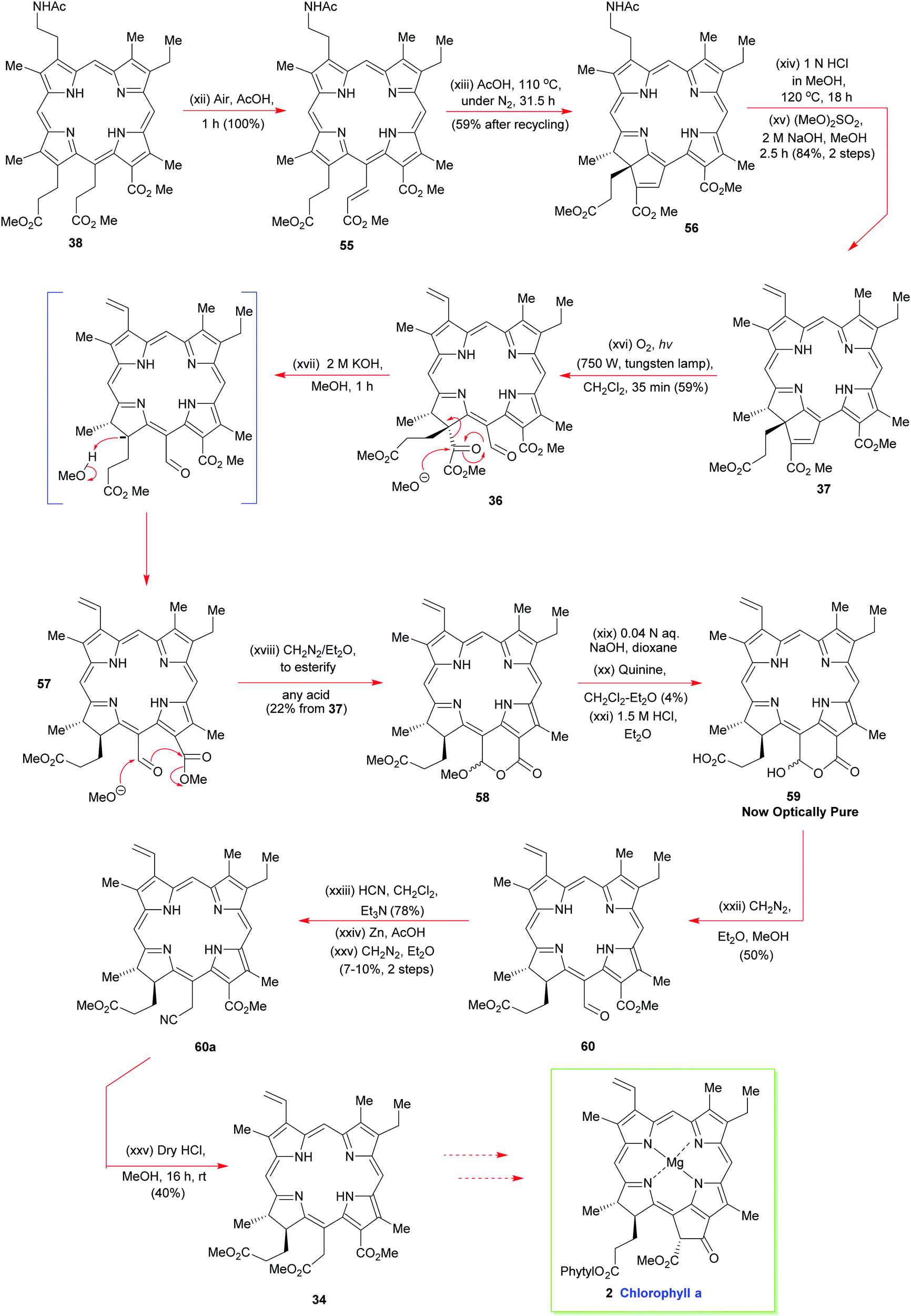 Classic highlights in porphyrin and porphyrinoid total synthesis and ...