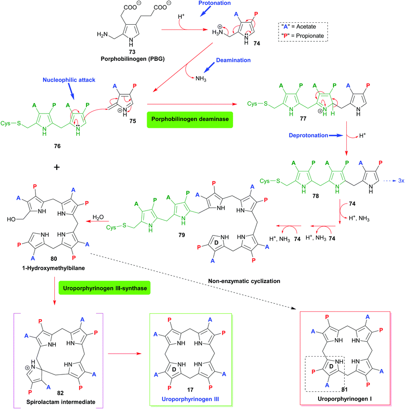 Classic highlights in porphyrin and porphyrinoid total synthesis and ...