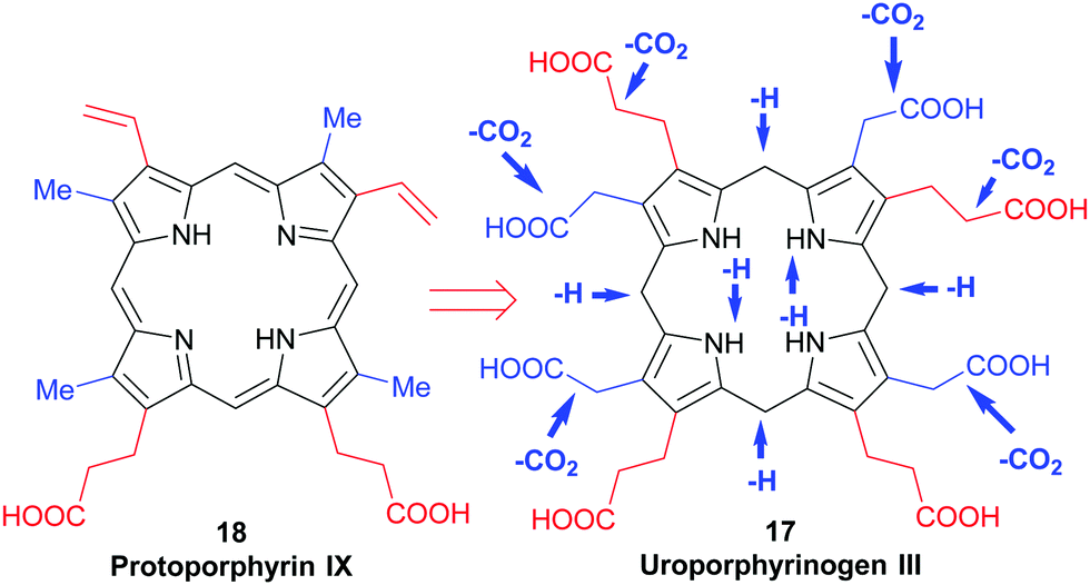 Classic highlights in porphyrin and porphyrinoid total synthesis and ...