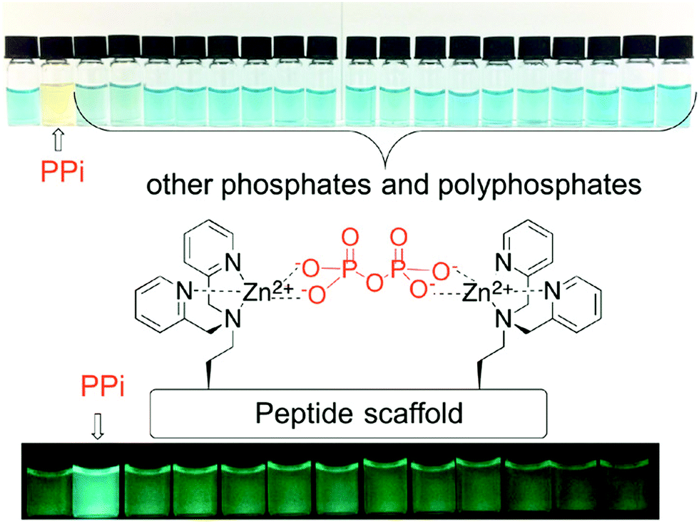 Indicator displacement assays (IDAs): the past, present and future ...
