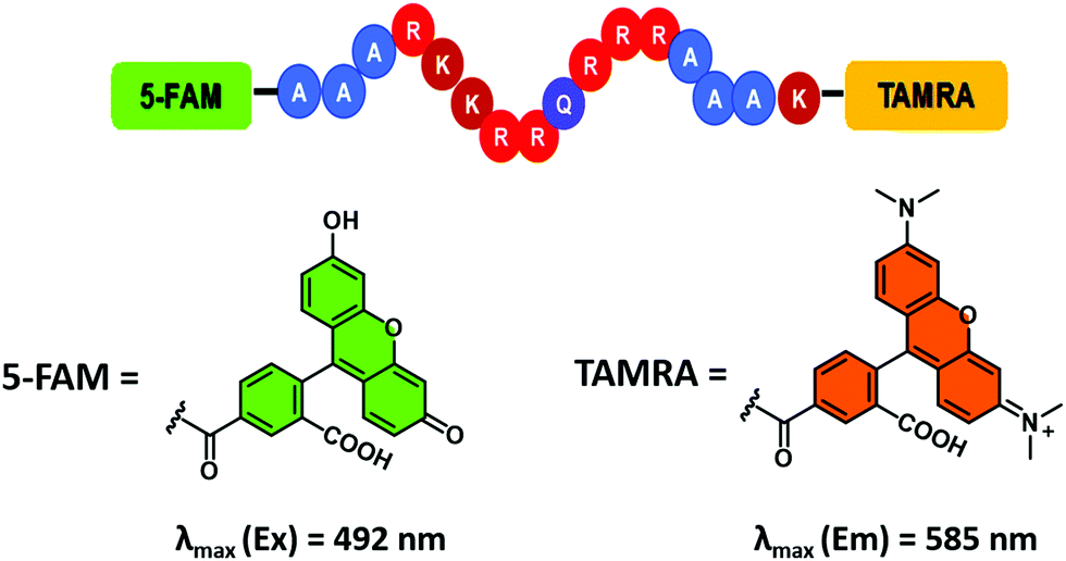 Indicator displacement assays (IDAs): the past, present and future ...