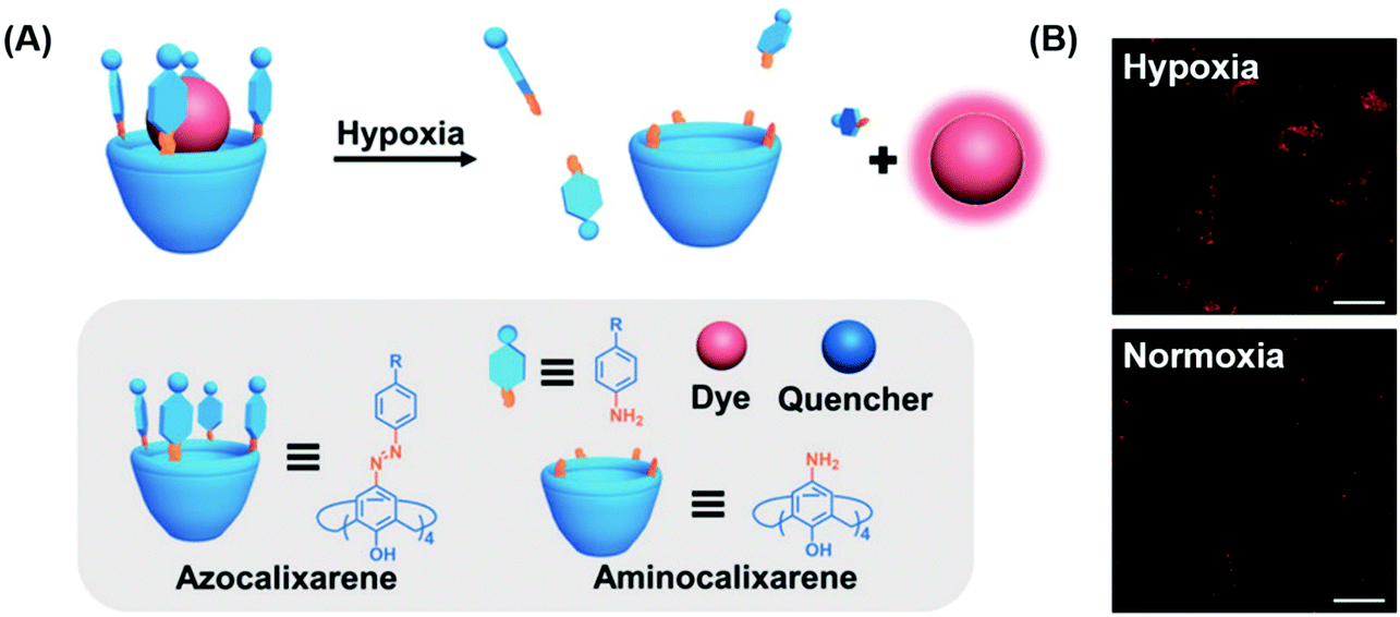 Indicator displacement assays (IDAs): the past, present and future ...