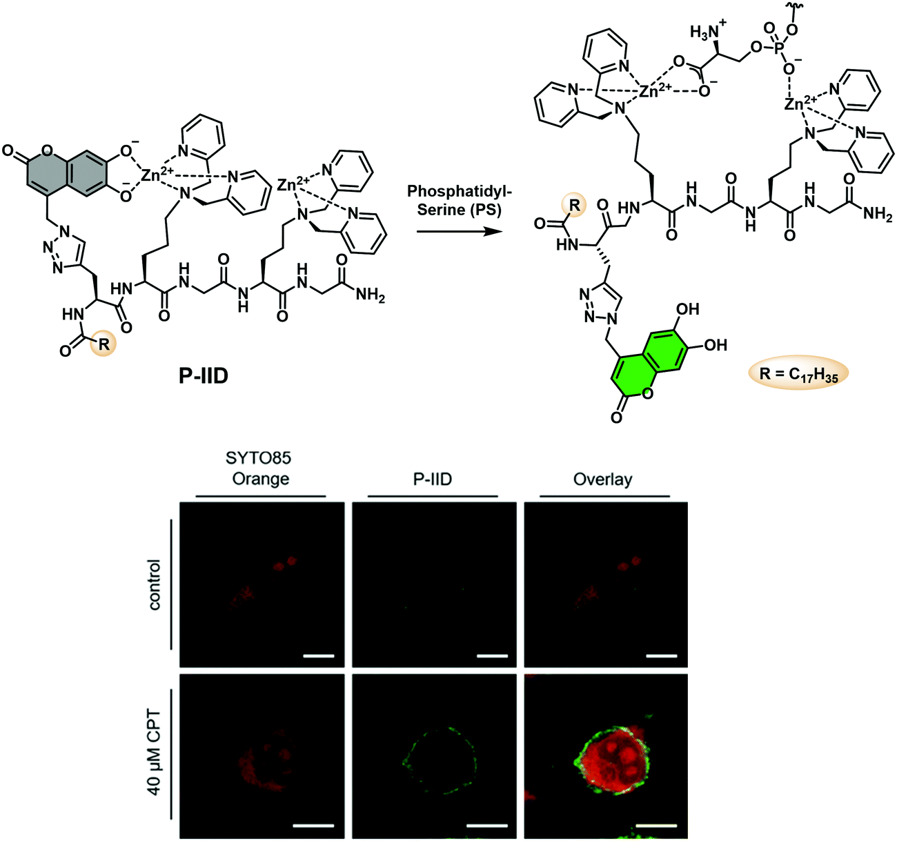 Indicator displacement assays (IDAs): the past, present and future ...