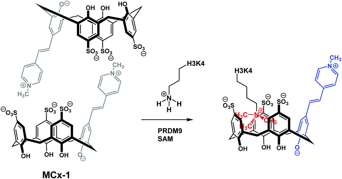 Indicator displacement assays (IDAs): the past, present and future ...