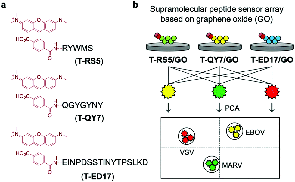 Indicator displacement assays (IDAs): the past, present and future ...