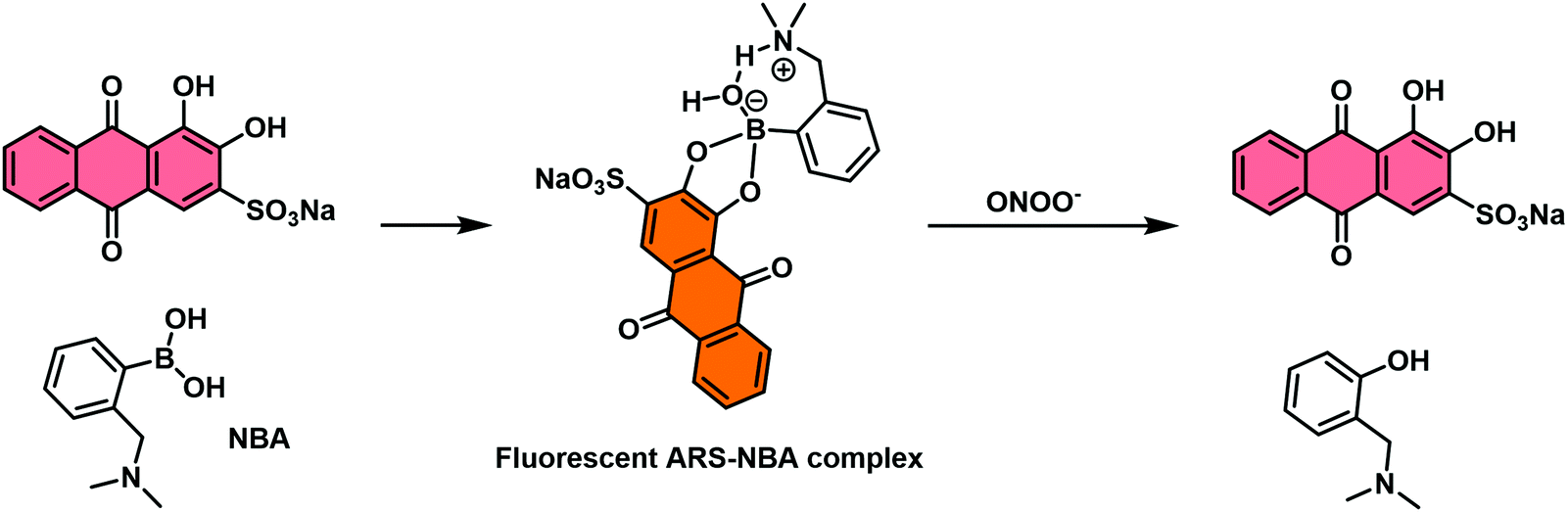 Indicator displacement assays (IDAs): the past, present and future ...