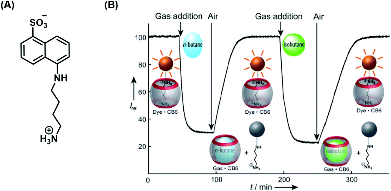 Indicator displacement assays (IDAs): the past, present and future ...