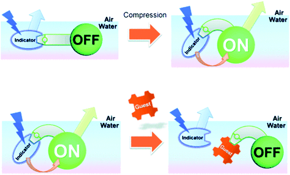 Indicator displacement assays (IDAs): the past, present and future ...