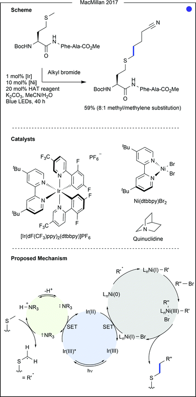 Photocatalytic methods for amino acid modification - Chemical Society ...