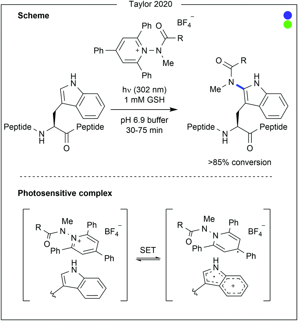 Photocatalytic methods for amino acid modification - Chemical Society ...