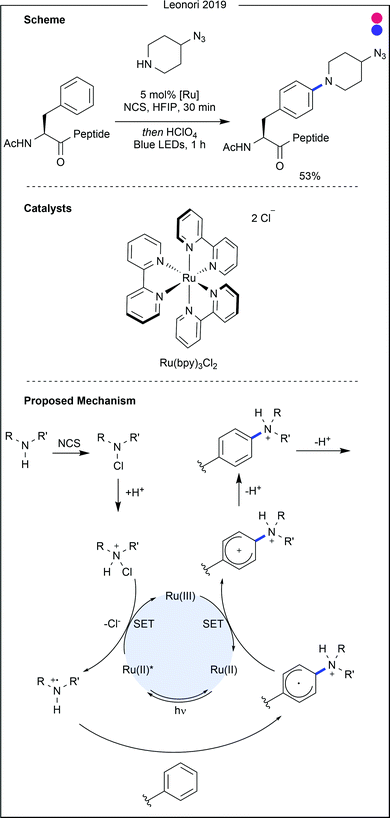 Photocatalytic methods for amino acid modification - Chemical Society ...