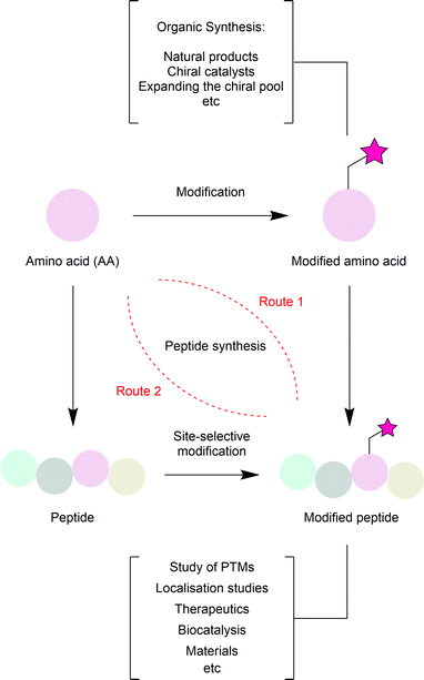 Photocatalytic methods for amino acid modification - Chemical Society Reviews (RSC Publishing ...