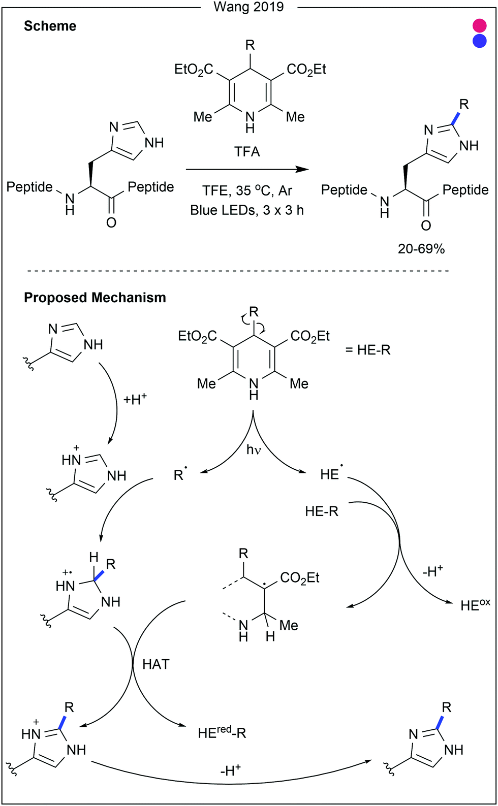 Photocatalytic methods for amino acid modification - Chemical Society ...